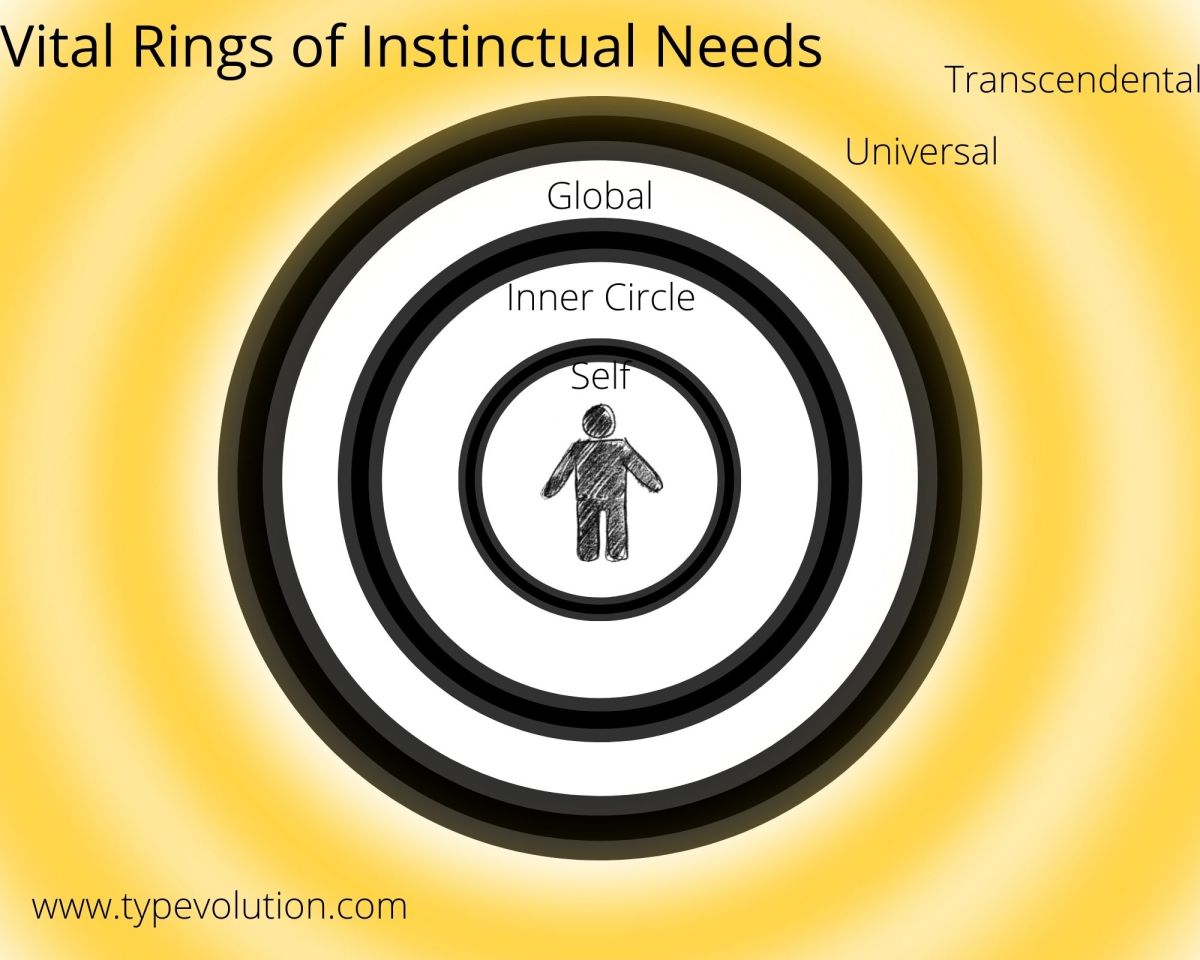 The Vital Rings of the Instincts (Enneagram) – Type•volution